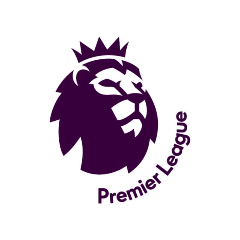 Judicial Panel Member - The Premier League - LawInSport